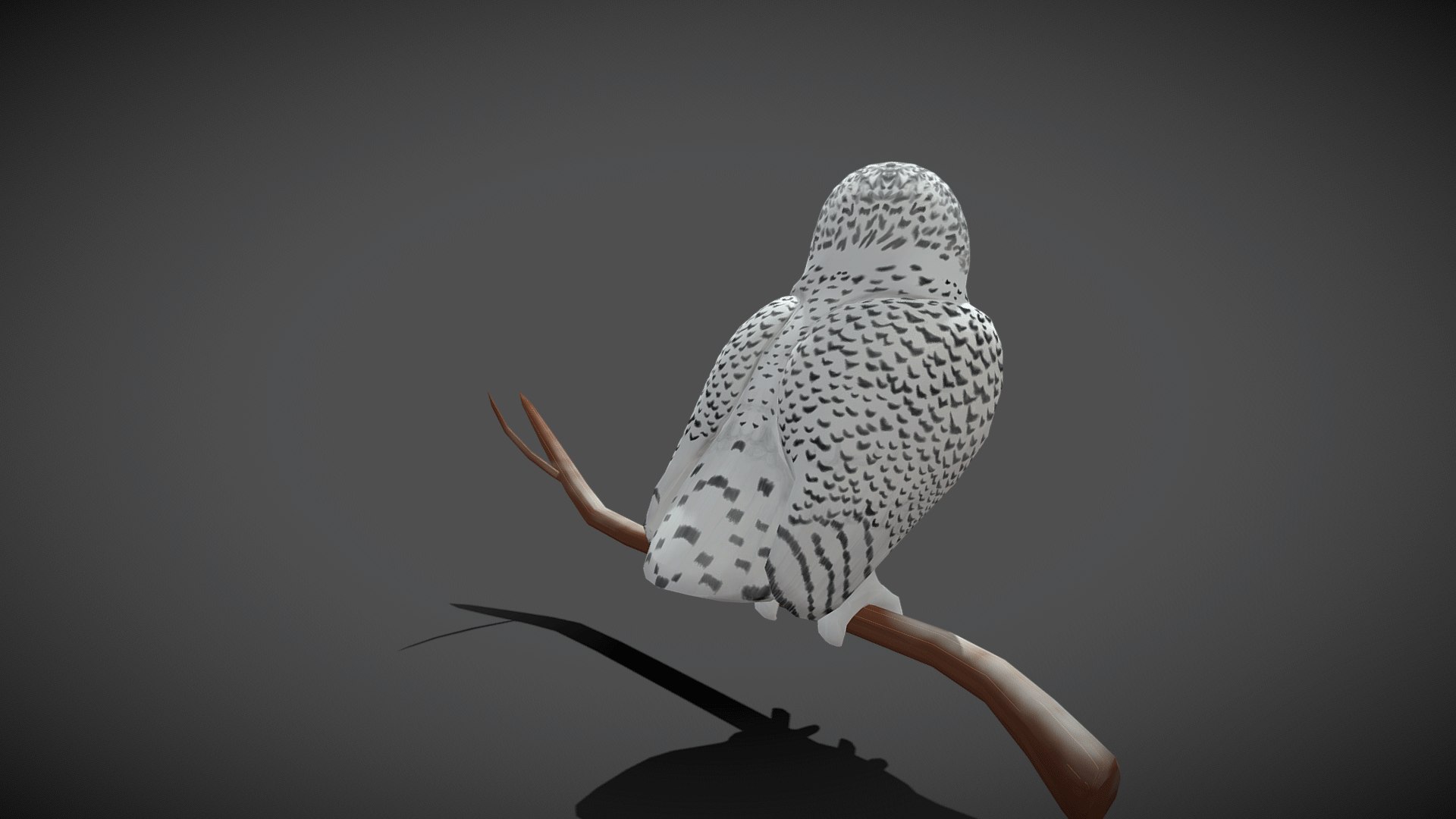 3D Model Rig Animation - TurboSquid 1502012