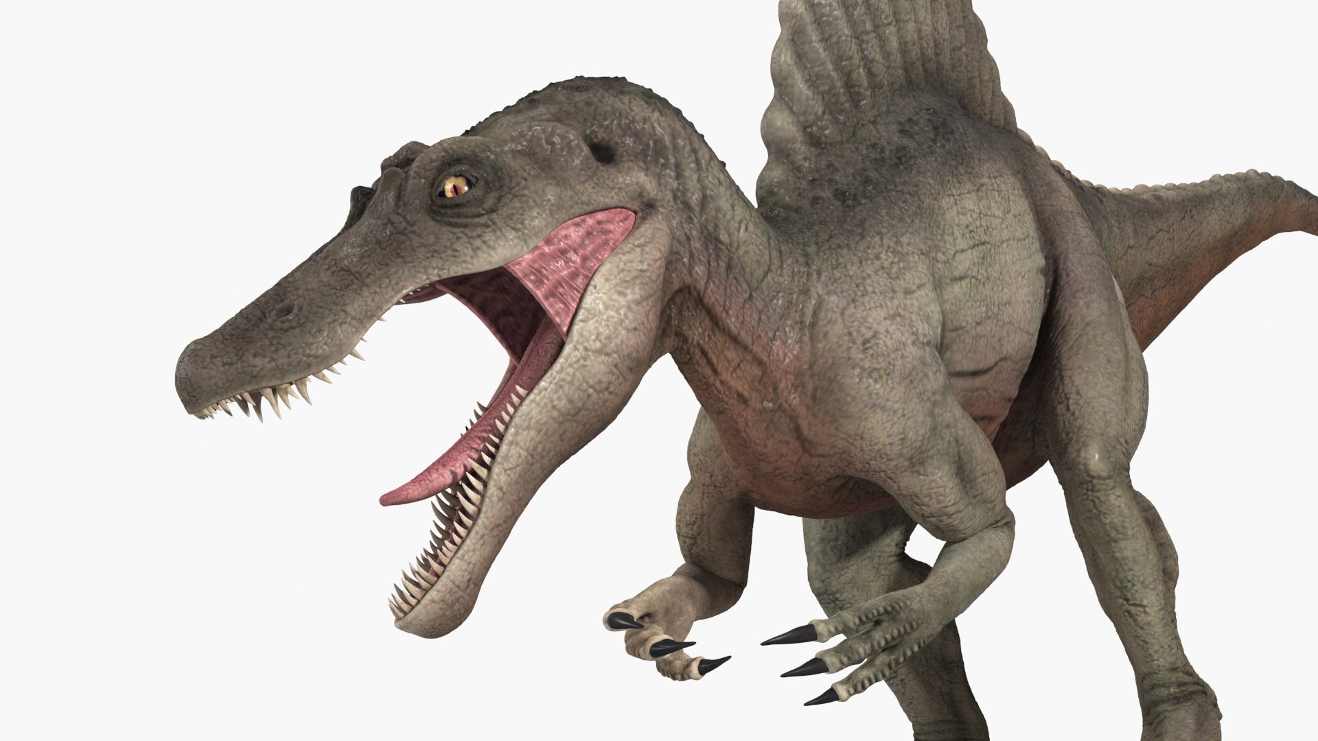 Spinosaurus - Rigged And Animated 3D - TurboSquid 1771162
