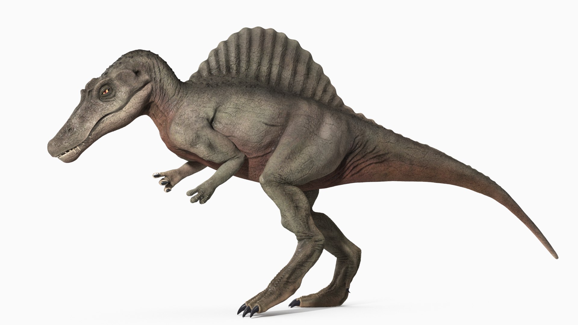Spinosaurus - Rigged And Animated 3D - TurboSquid 1771162