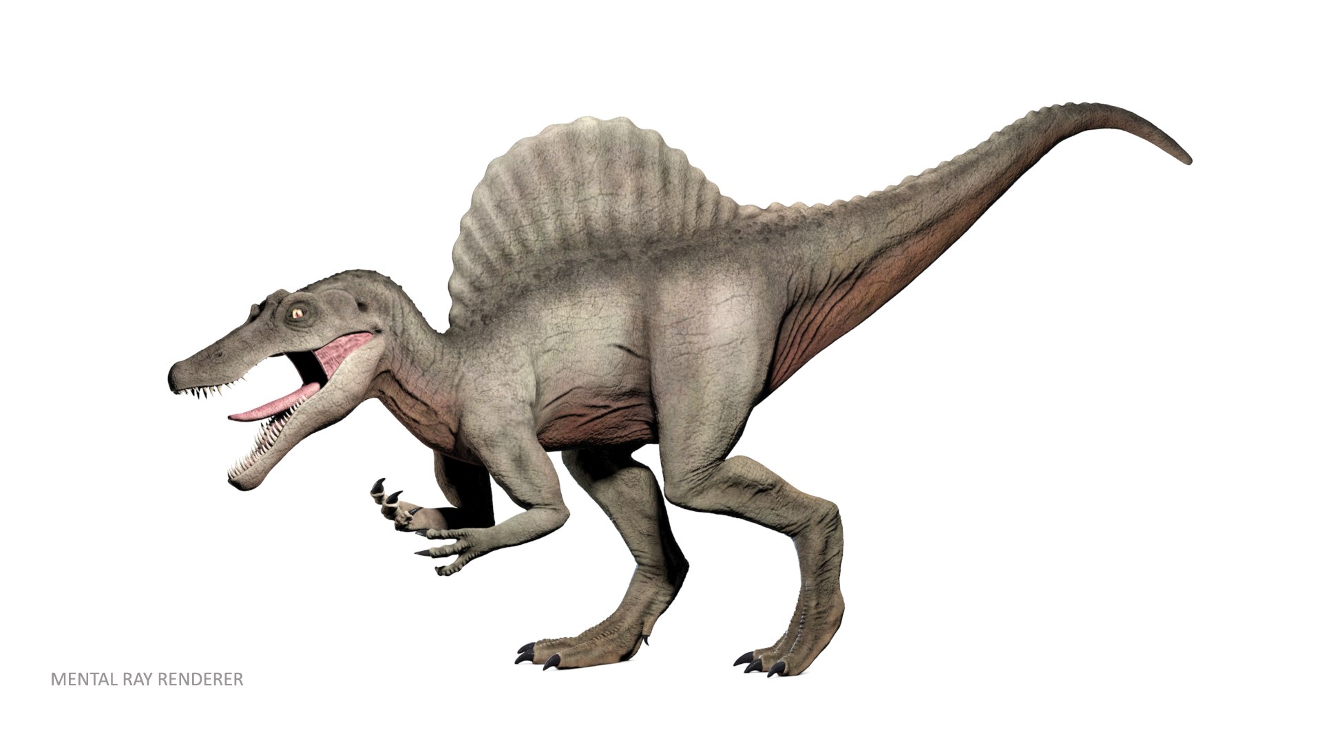 Spinosaurus - Rigged And Animated 3D - TurboSquid 1771162