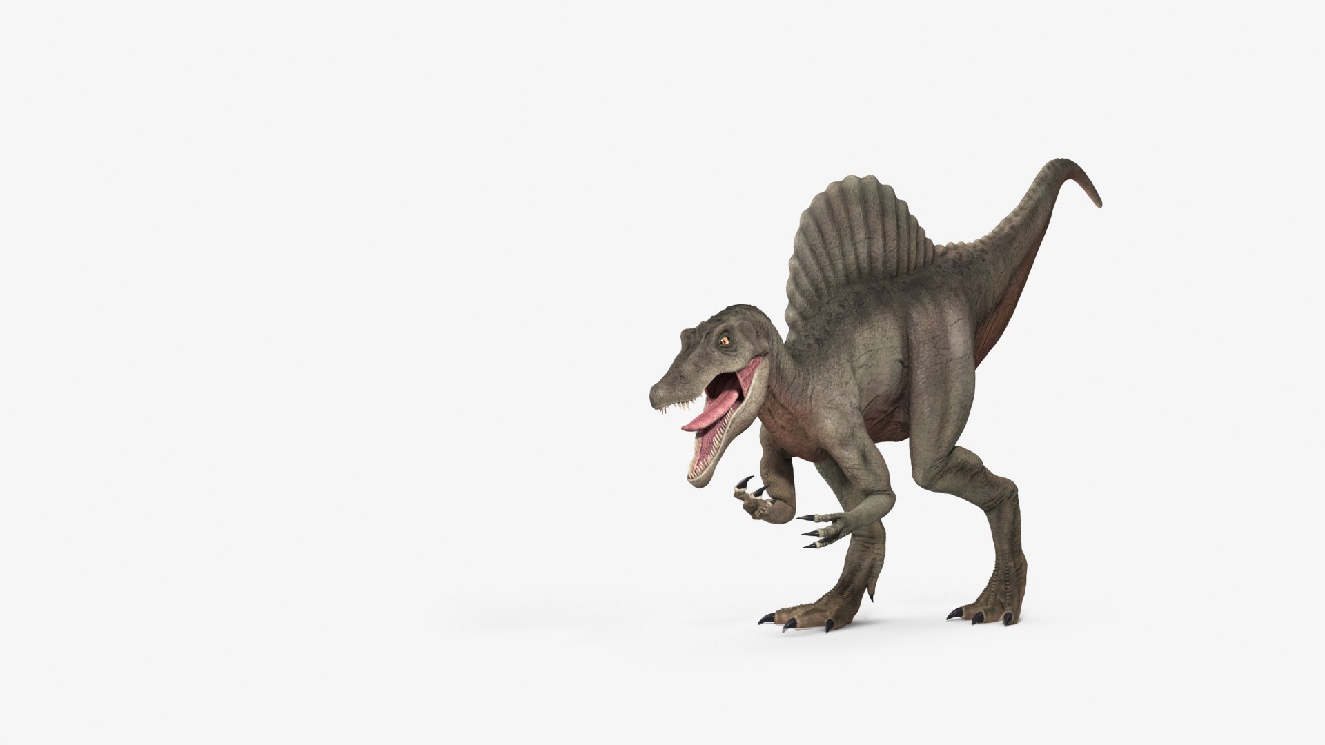 Spinosaurus - Rigged And Animated 3D - TurboSquid 1771162