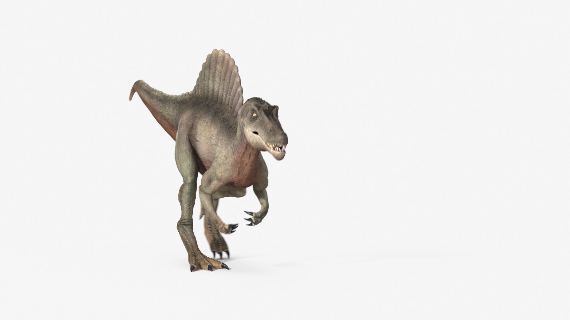 Spinosaurus - Rigged And Animated 3D - TurboSquid 1771162