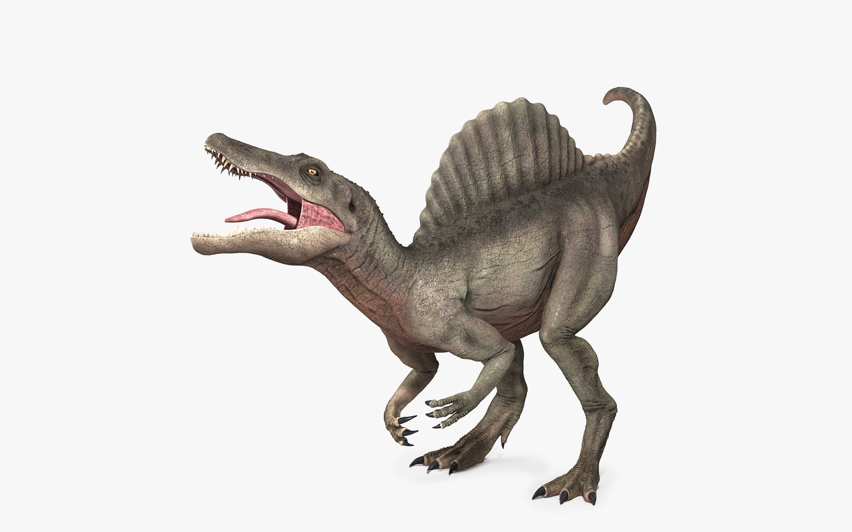 Spinosaurus - Rigged and Animated 3D - TurboSquid 1771162