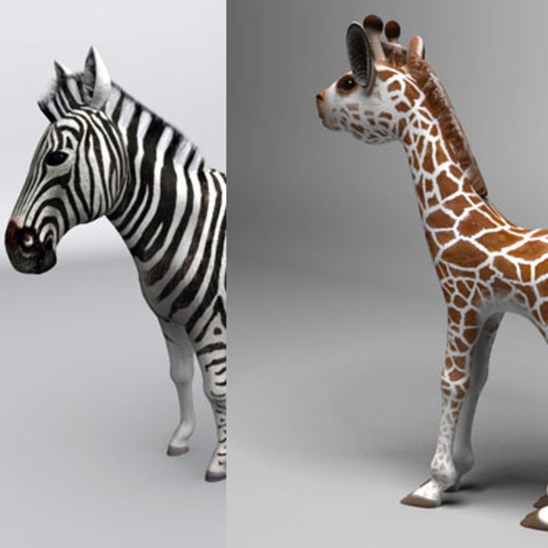 Maya S Zebra Giraffe