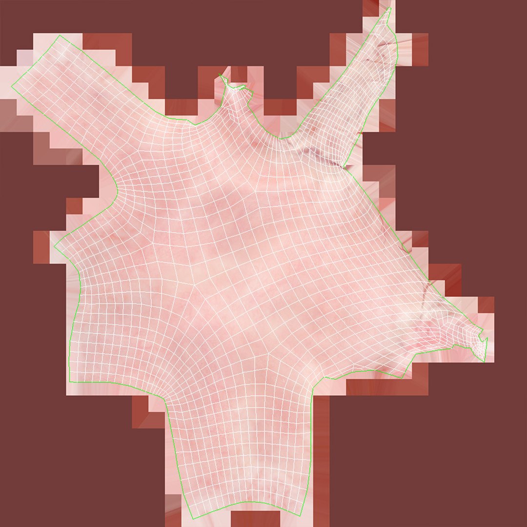 3D Medically Accurate Transverse Cross-Section Of The Human Heart ...