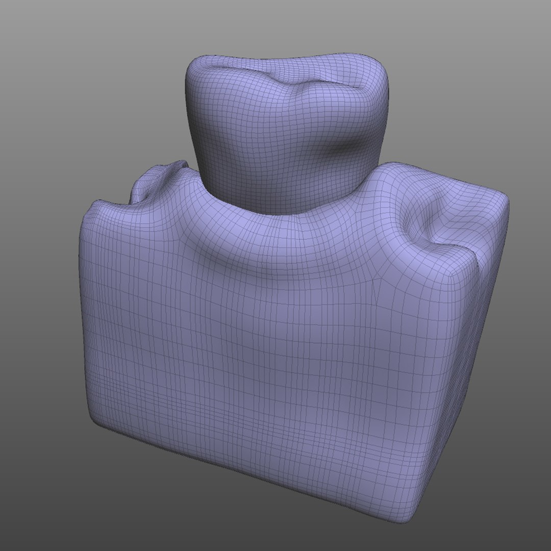 Teeth Anatomy 3D Model - TurboSquid 1521204