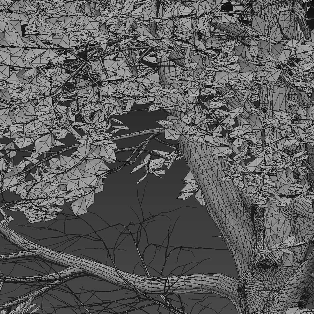 Set Of European Linden Or Tilia Europaea Tree - 2 Trees 3D Model ...