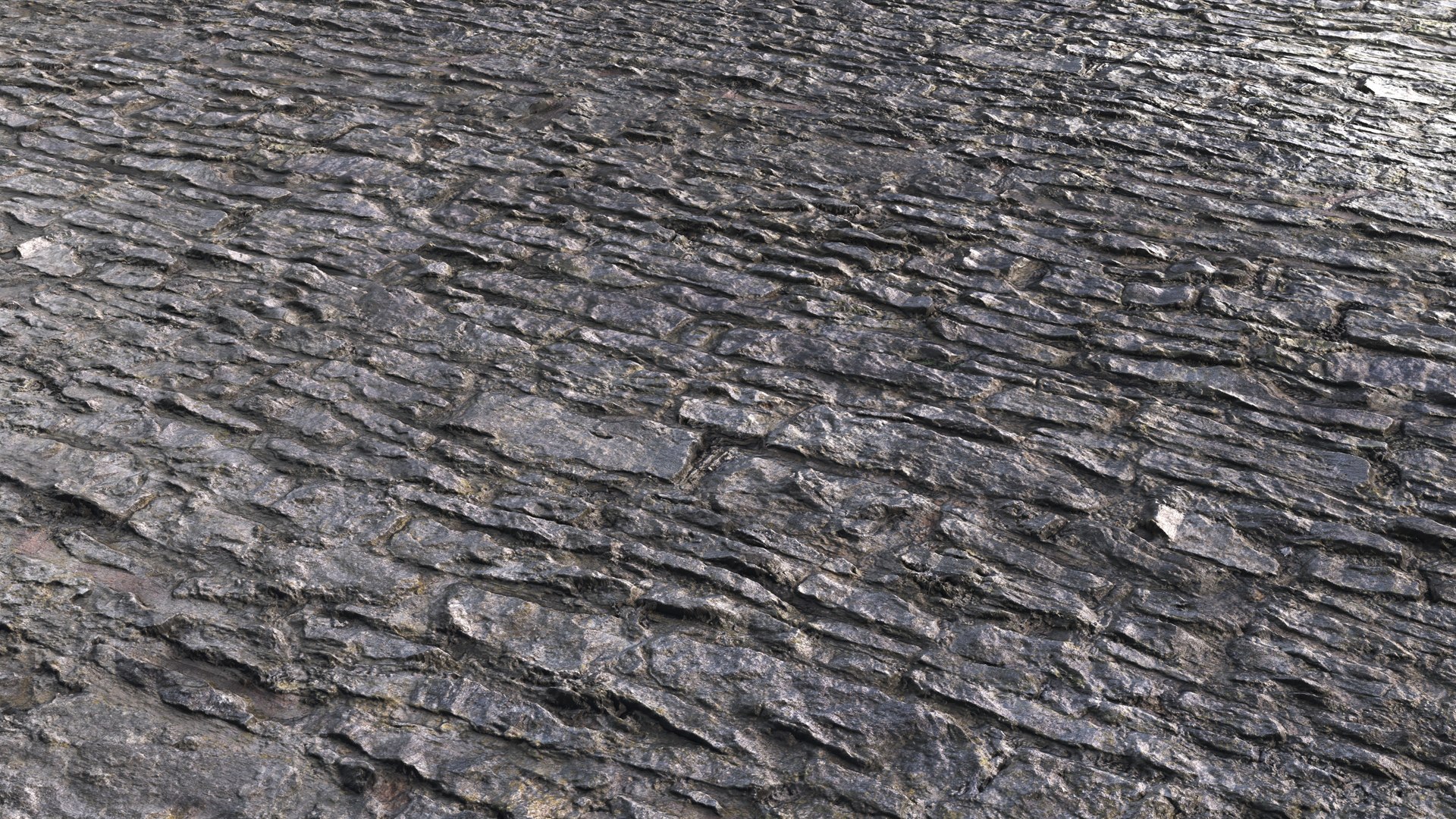 3D model Photoscan PBR Material - Rocky Forest Path - TurboSquid 2110252