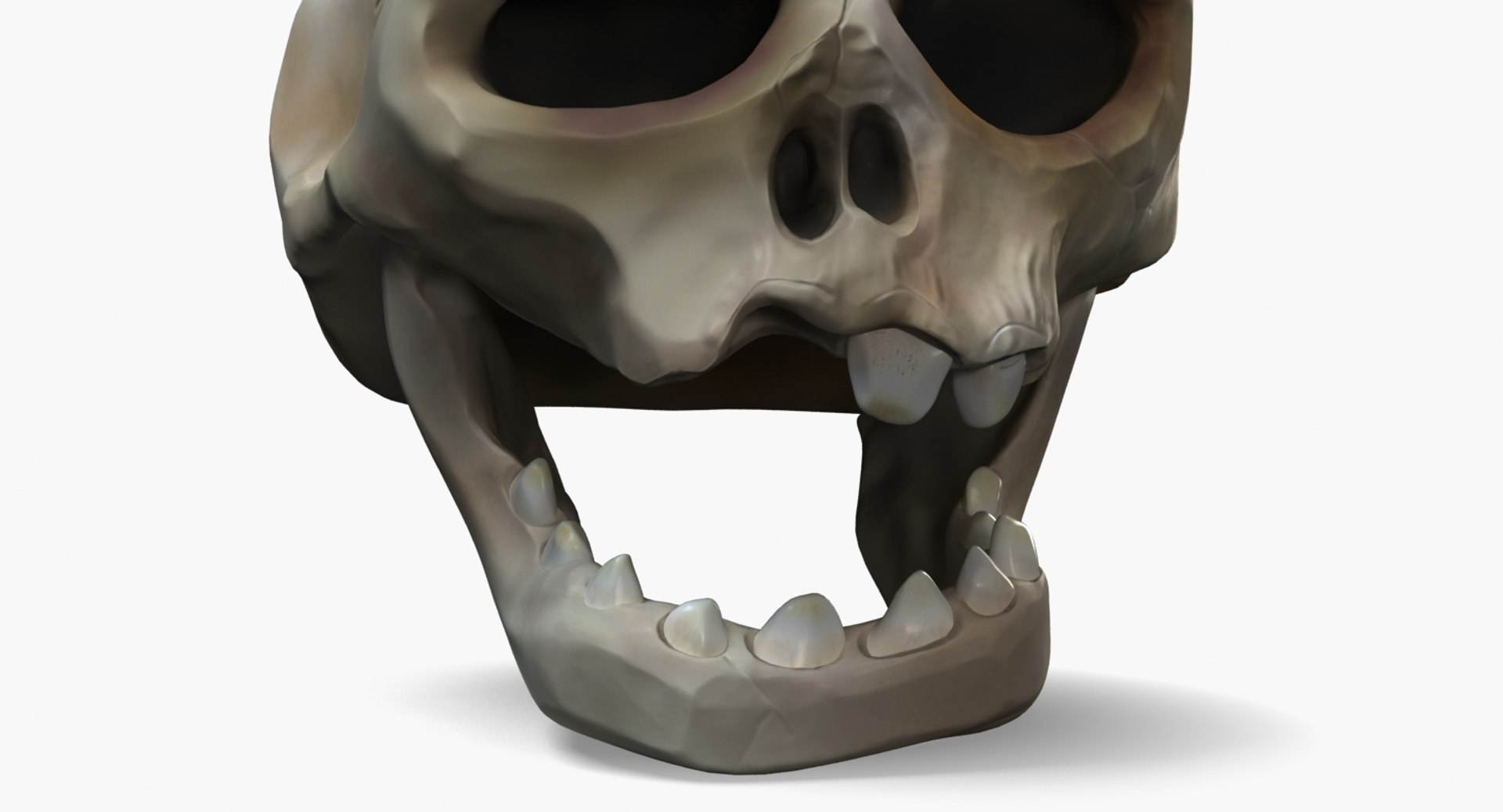 3D Cartoon Skull | 1143323 | TurboSquid