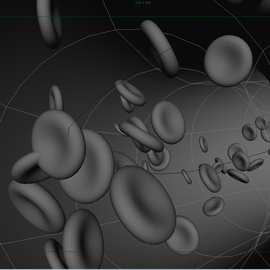 3d blood vessel model