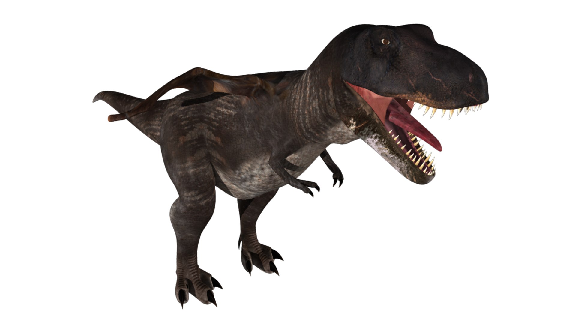 pterosaurs wings obj