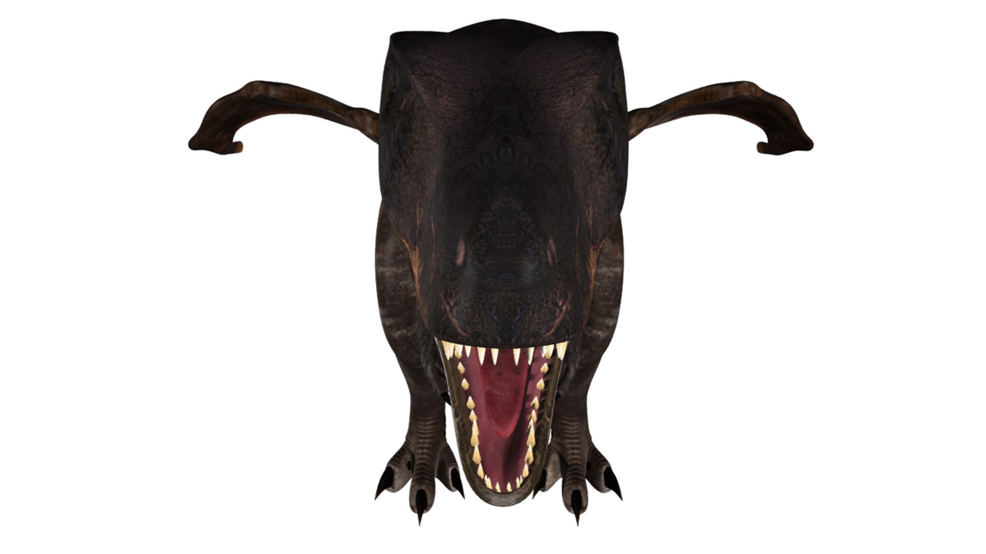 pterosaurs wings obj