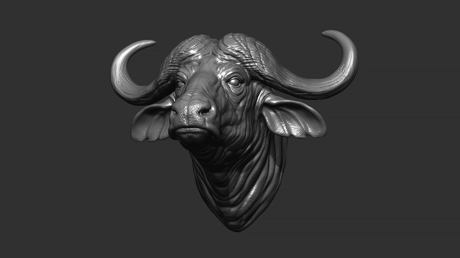 3D Buffalo Head - TurboSquid 1746902