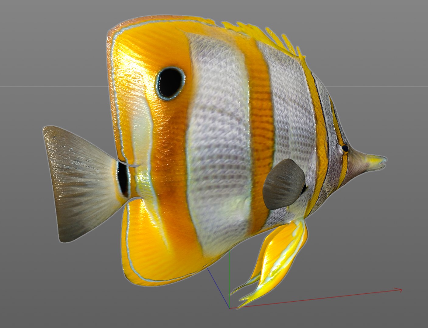 Fish 3D model - TurboSquid 1551939