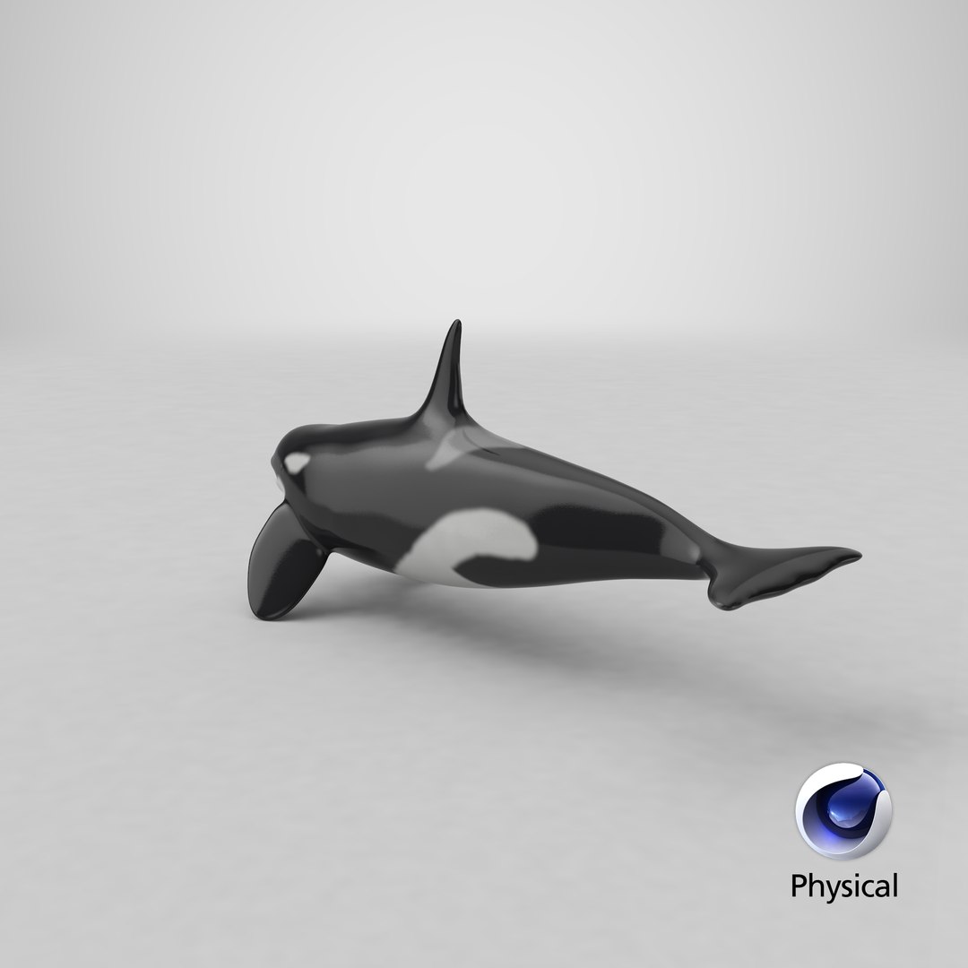Killer whale orca 3D model - TurboSquid 1645110