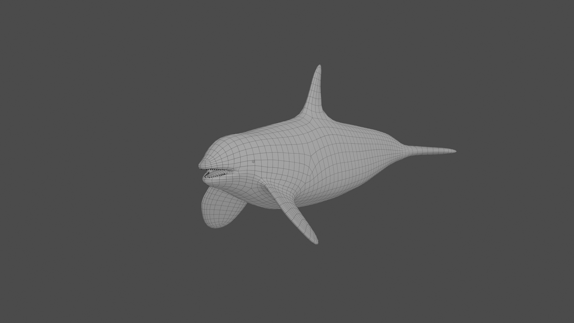 Killer whale orca 3D model - TurboSquid 1645110