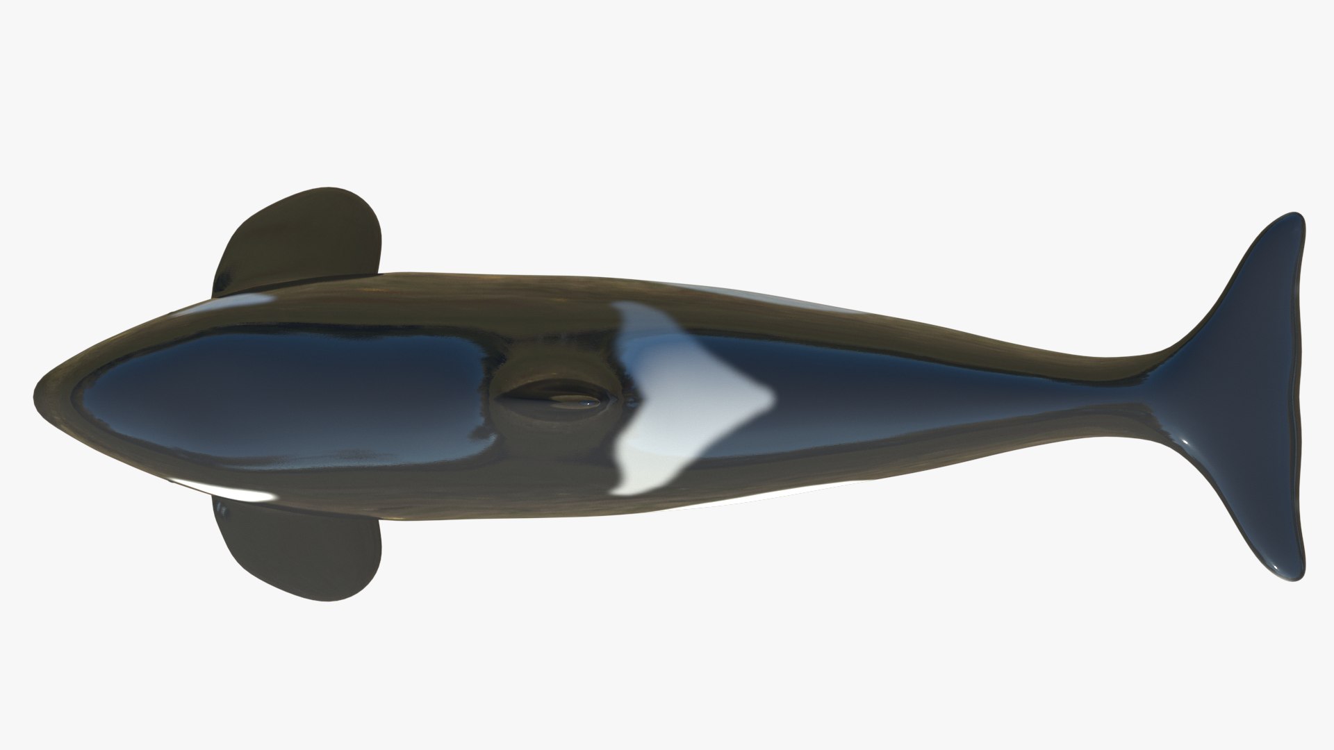 Killer Whale Orca 3D Model - TurboSquid 1645110