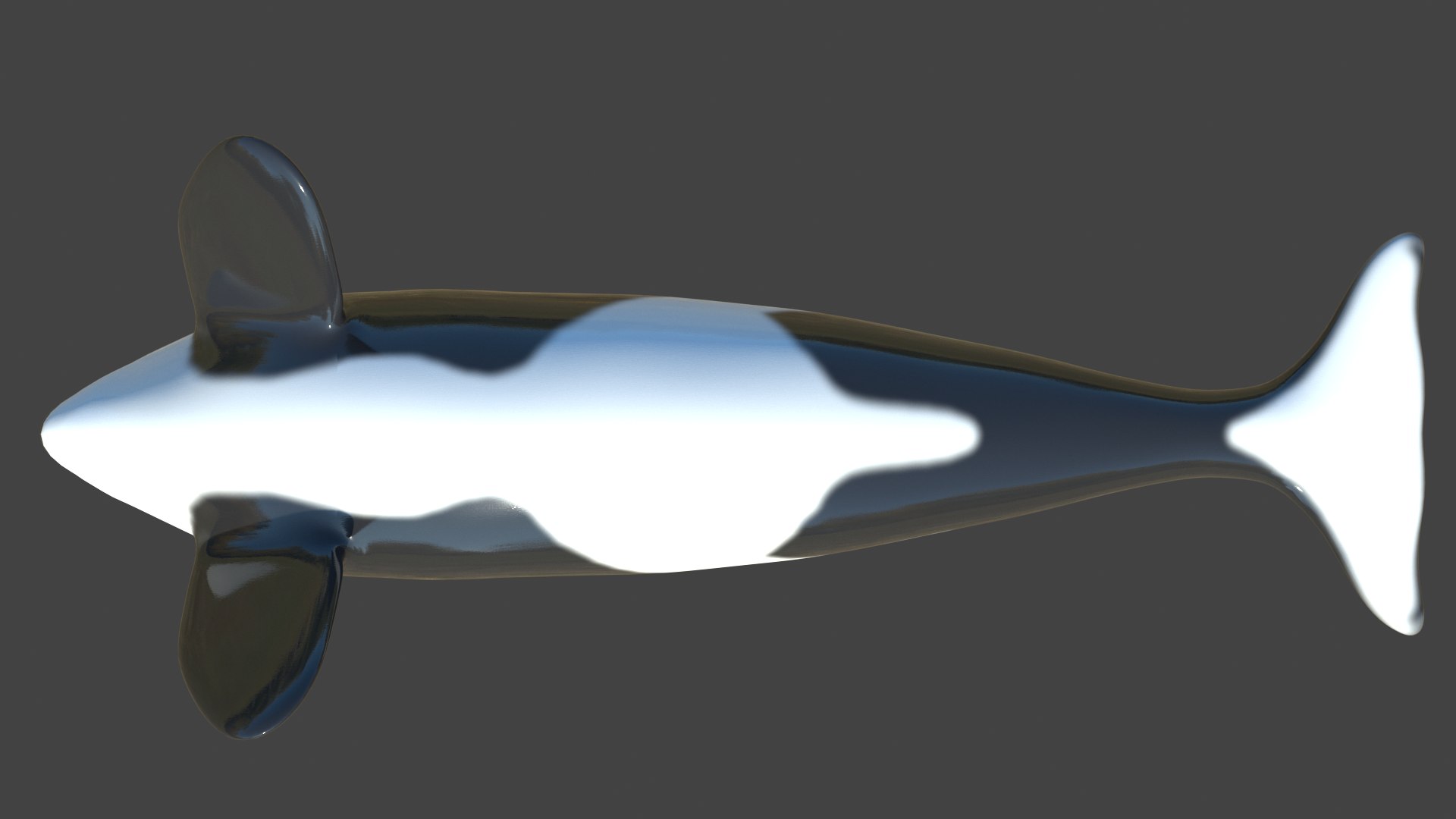 Killer Whale Orca 3D Model - TurboSquid 1645110