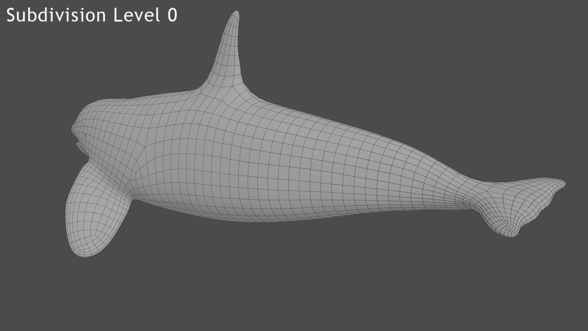 Killer whale orca 3D model - TurboSquid 1645110