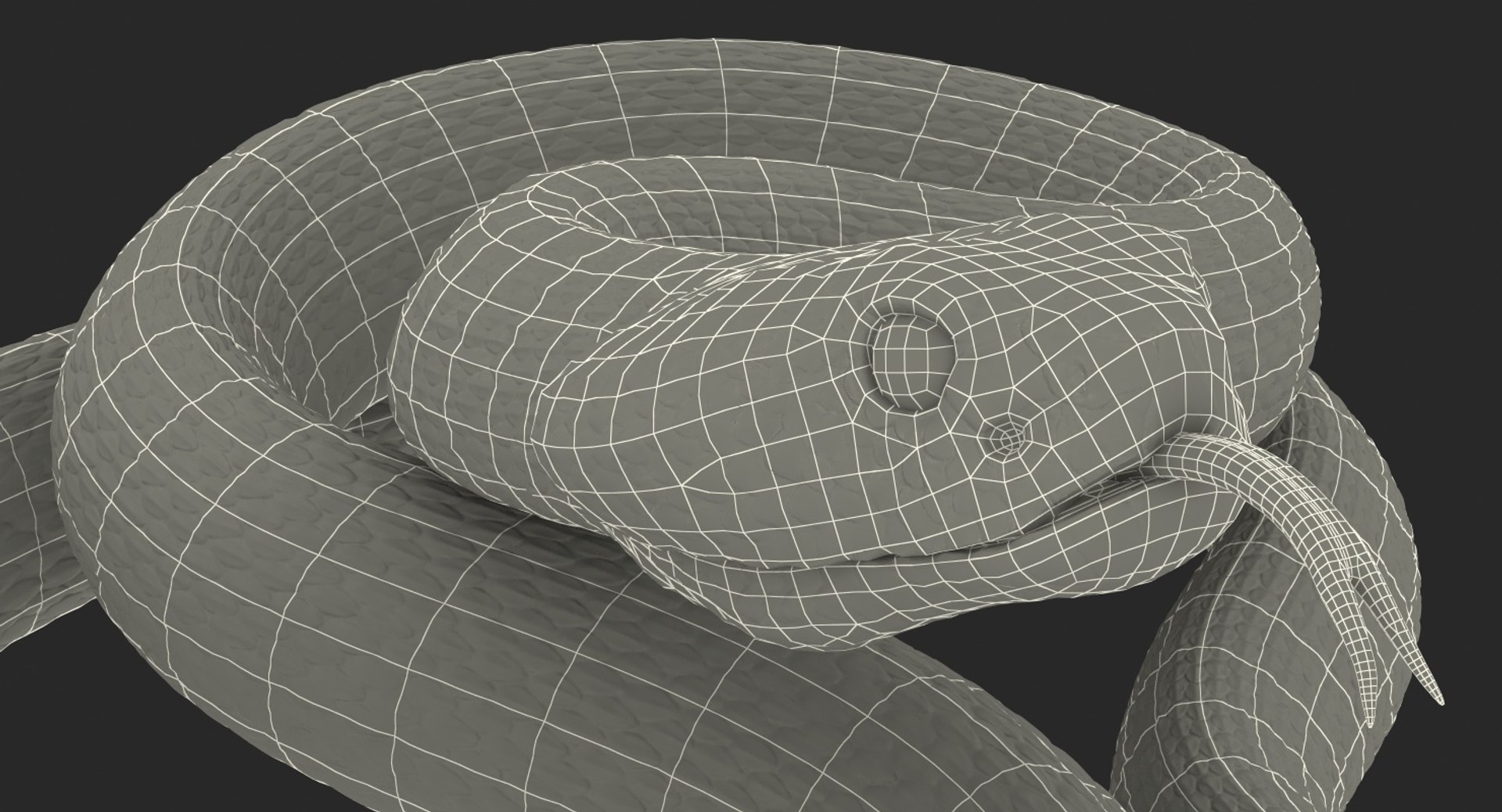 Giant dark rattlesnake snake 3D model - TurboSquid 1398405