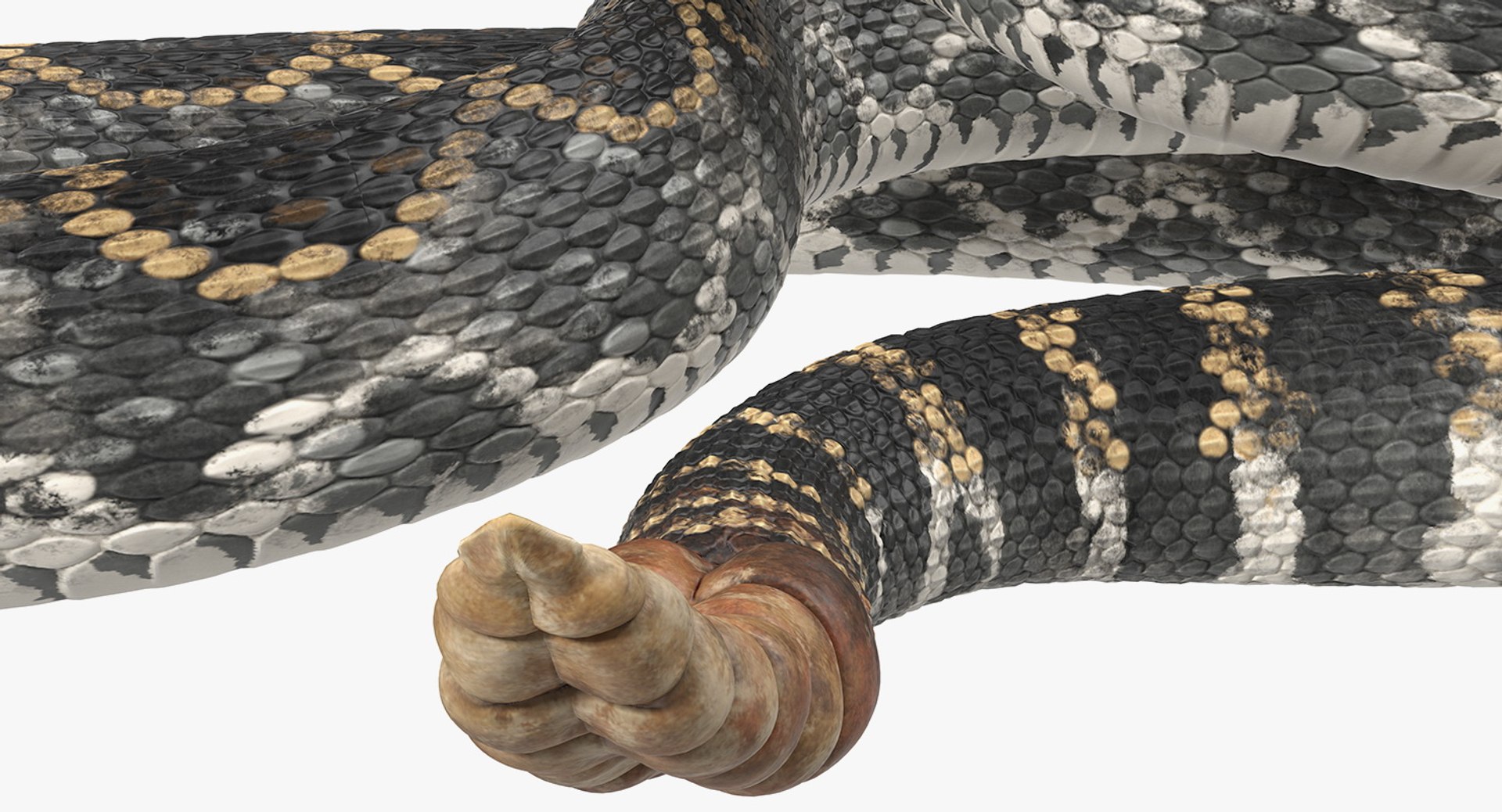 Giant dark rattlesnake snake 3D model - TurboSquid 1398405