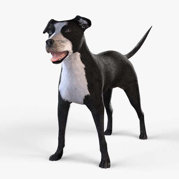 modelo 3d Perro aparejado - TurboSquid 2330879