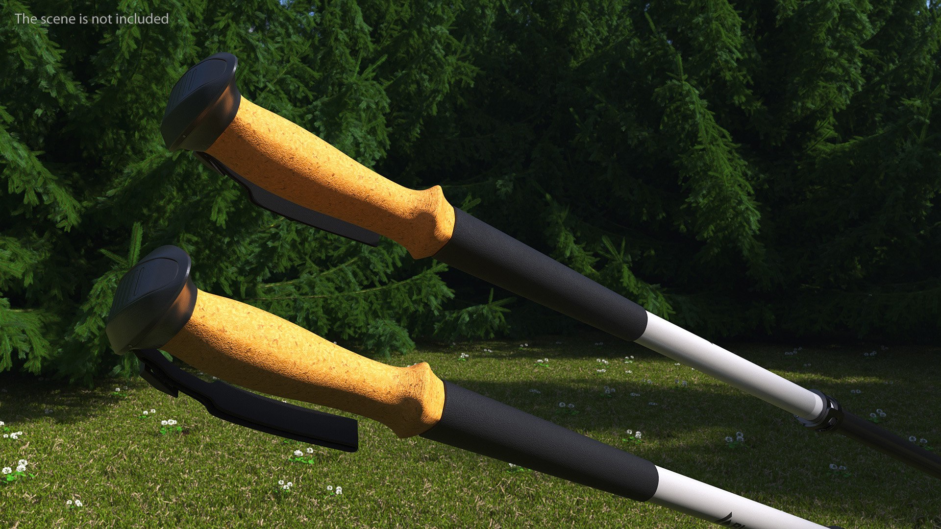 3D Model Idle White Black Diamond Carbon Trekking-Poles - TurboSquid ...