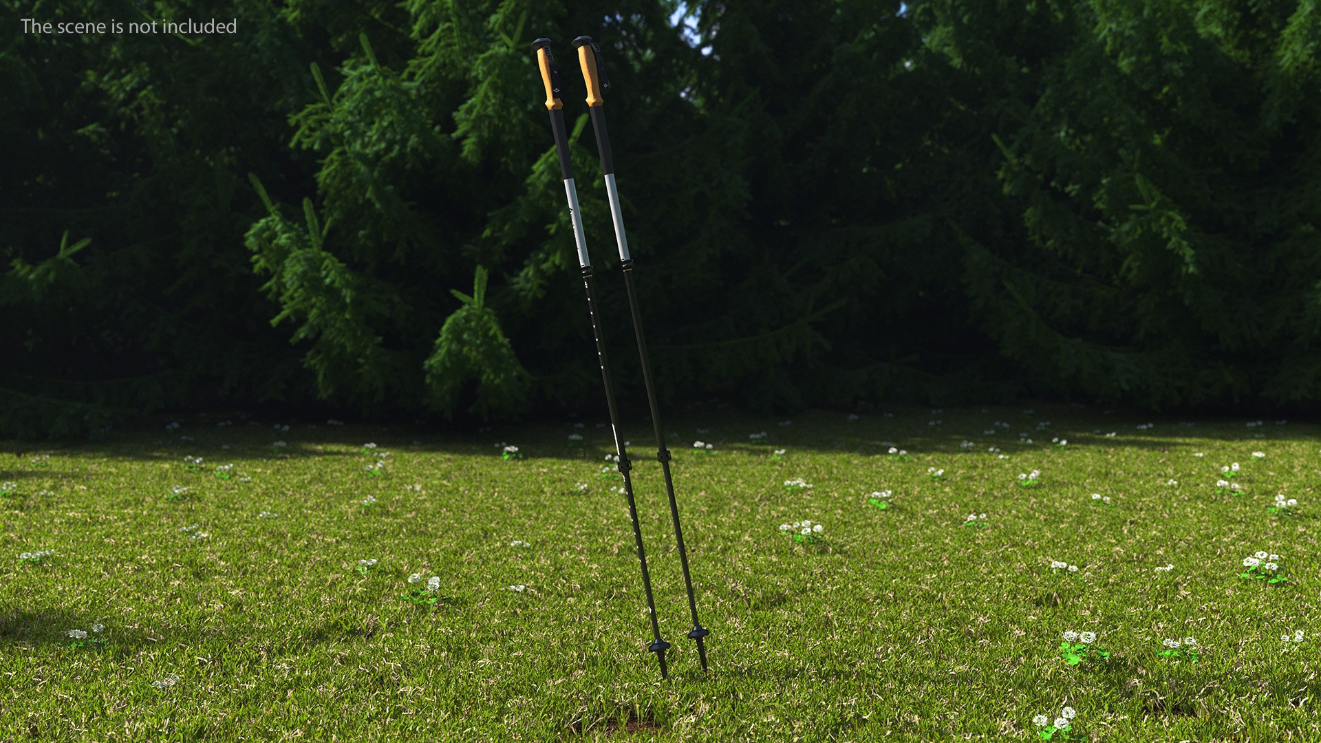 3D Model Idle White Black Diamond Carbon Trekking-Poles - TurboSquid ...