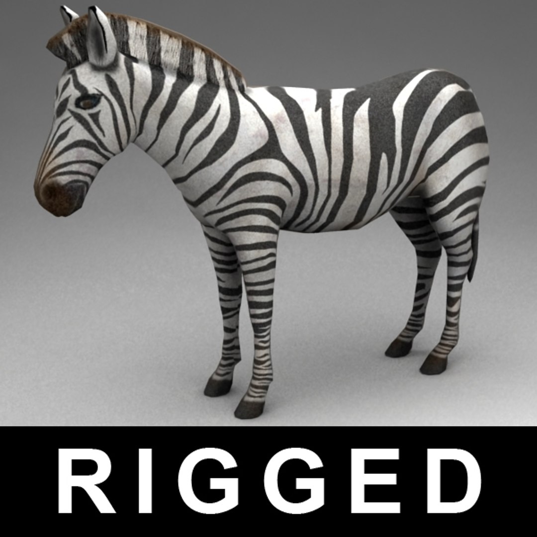 3d Model Rigged Zebra