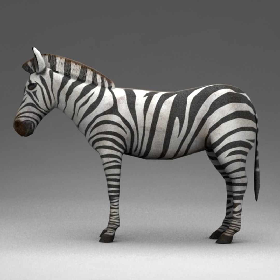 3d Model Rigged Zebra