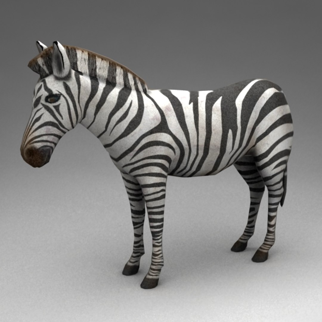 3d Model Rigged Zebra