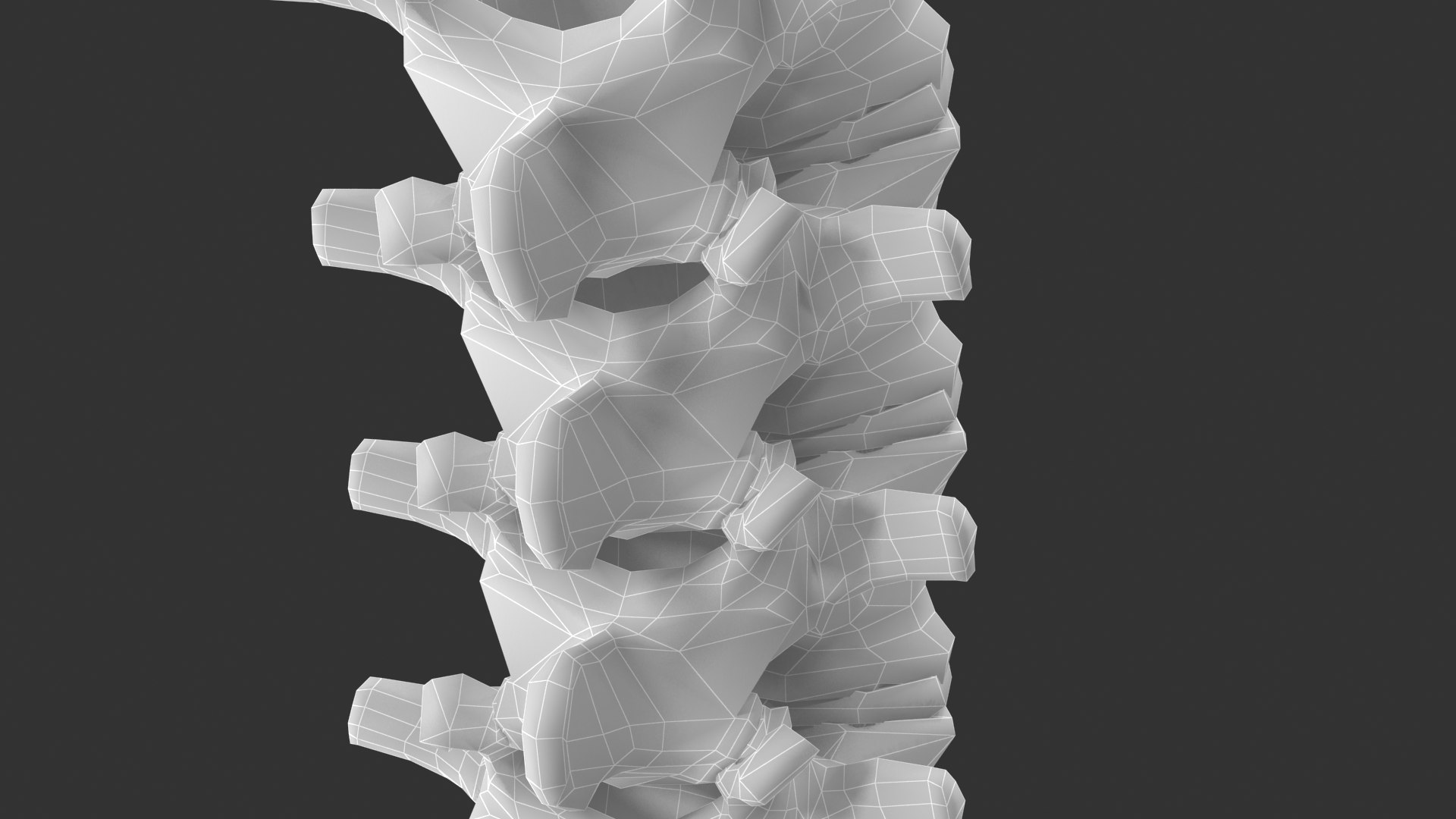 Lumbar Spinal Column 3D Model - TurboSquid 1684226