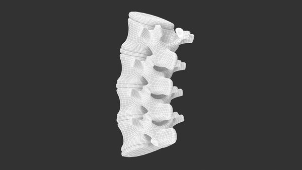 Lumbar spinal column 3D model - TurboSquid 1684226