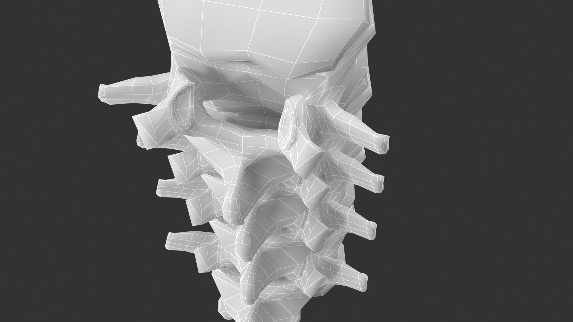 Lumbar Spinal Column 3D Model - TurboSquid 1684226
