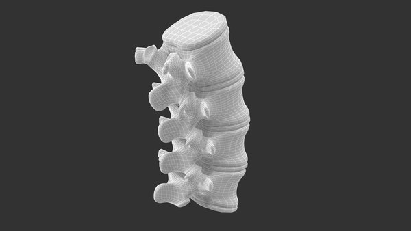 Lumbar spinal column 3D model - TurboSquid 1684226