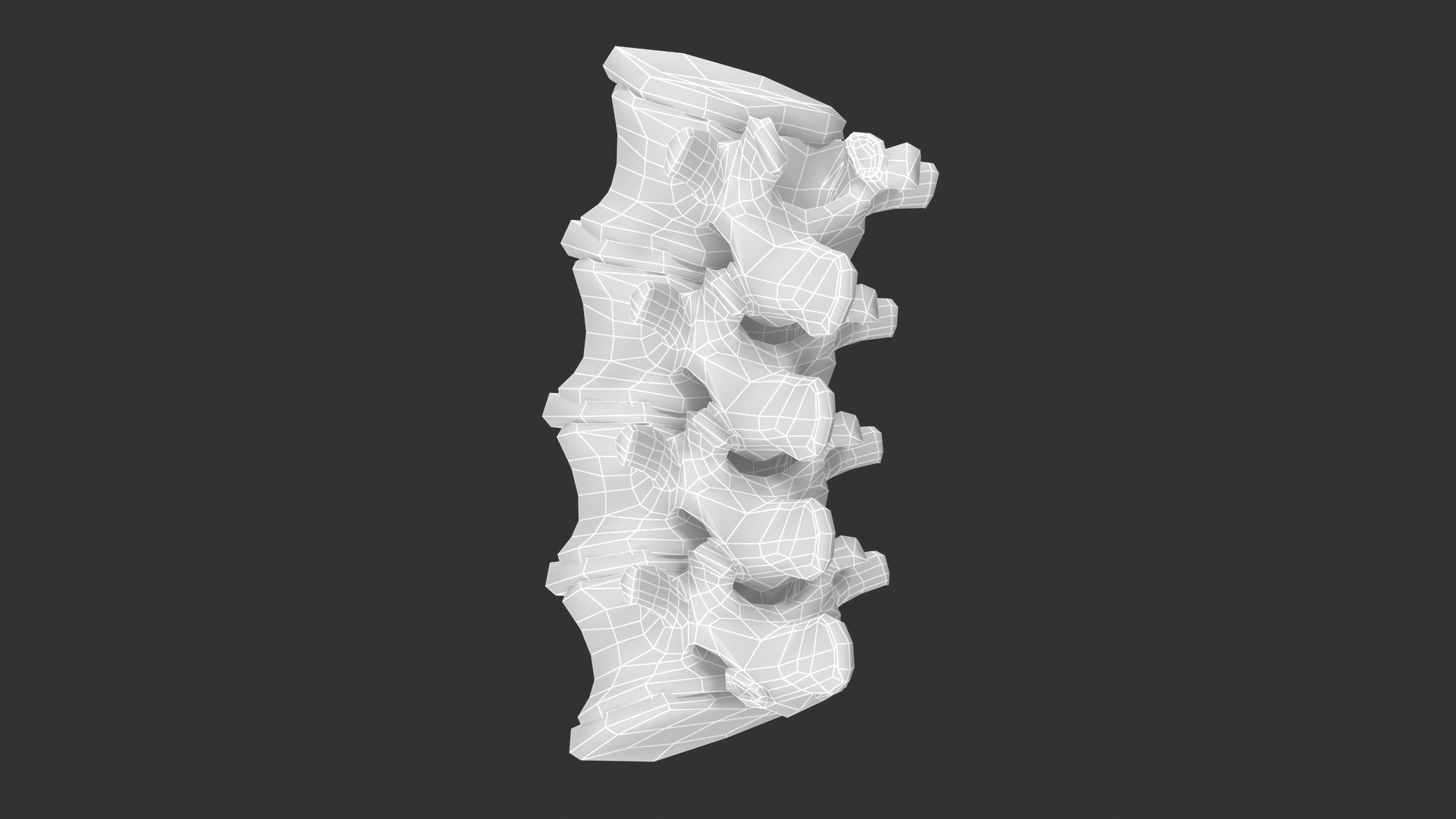 Lumbar Spinal Column 3D Model - TurboSquid 1684226