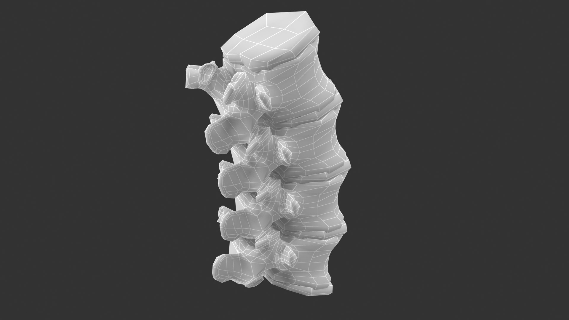 Lumbar Spinal Column 3D Model - TurboSquid 1684226