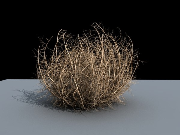 Tumbleweed 3D Models for Download | TurboSquid