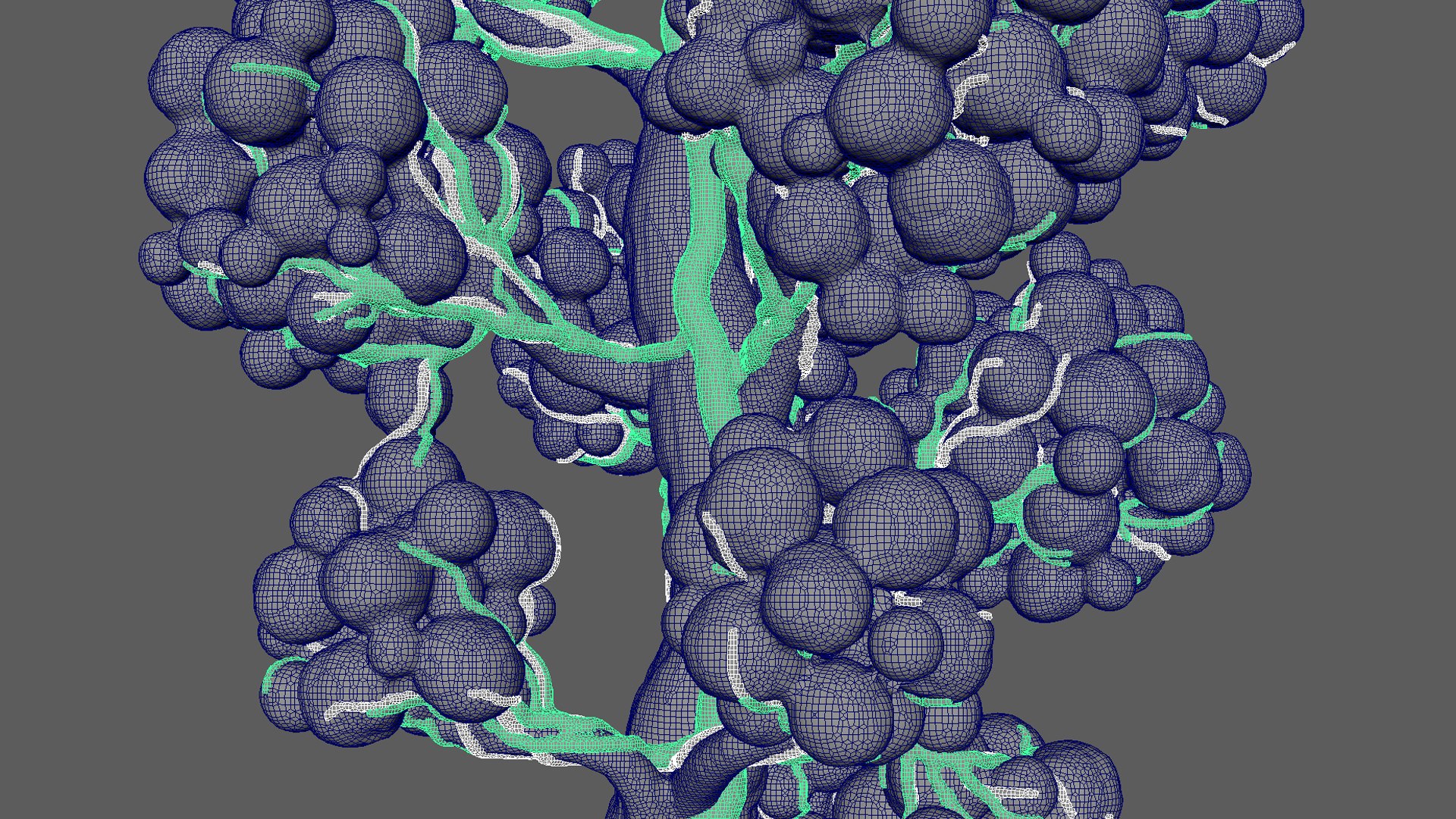 3D Model Alveoli Capillaries - TurboSquid 2238831