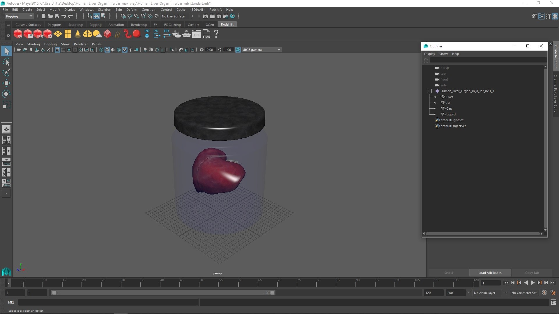 3D Model Human Liver Organ In A Jar - TurboSquid 2259002