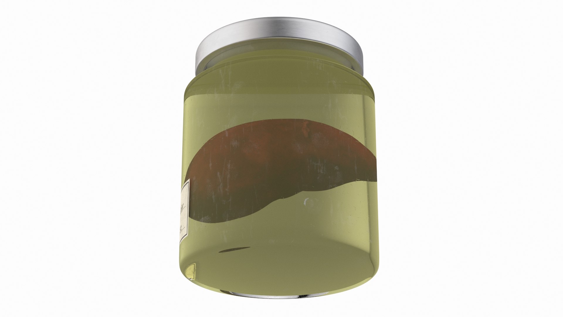 3D Model Human Liver Organ In A Jar - TurboSquid 2259002