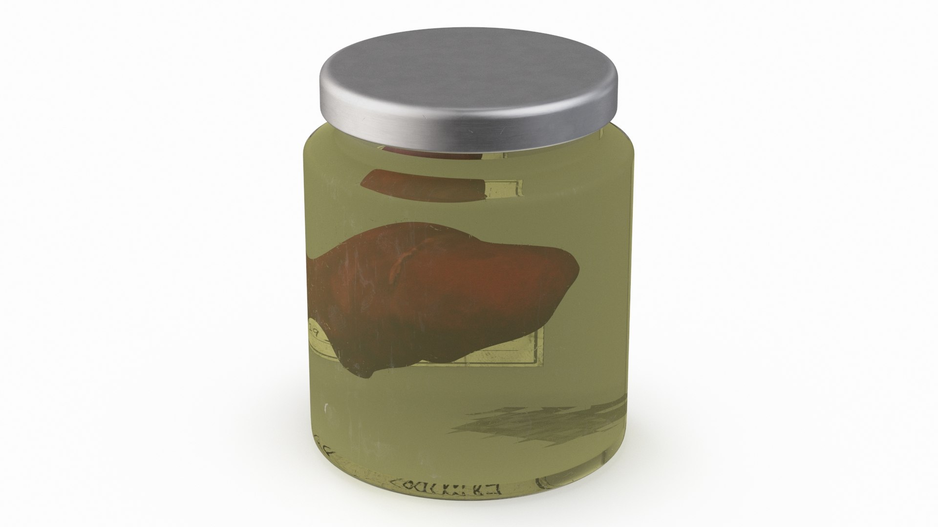 3D Model Human Liver Organ In A Jar - TurboSquid 2259002