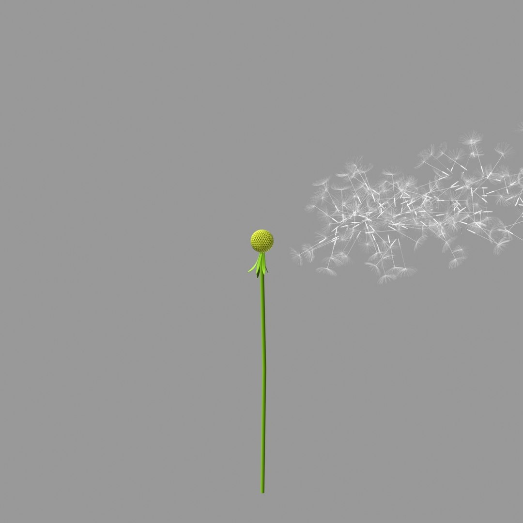 Dandelion 3D Model - TurboSquid 1274152