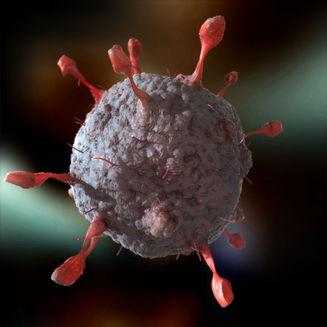 3d Virus Model