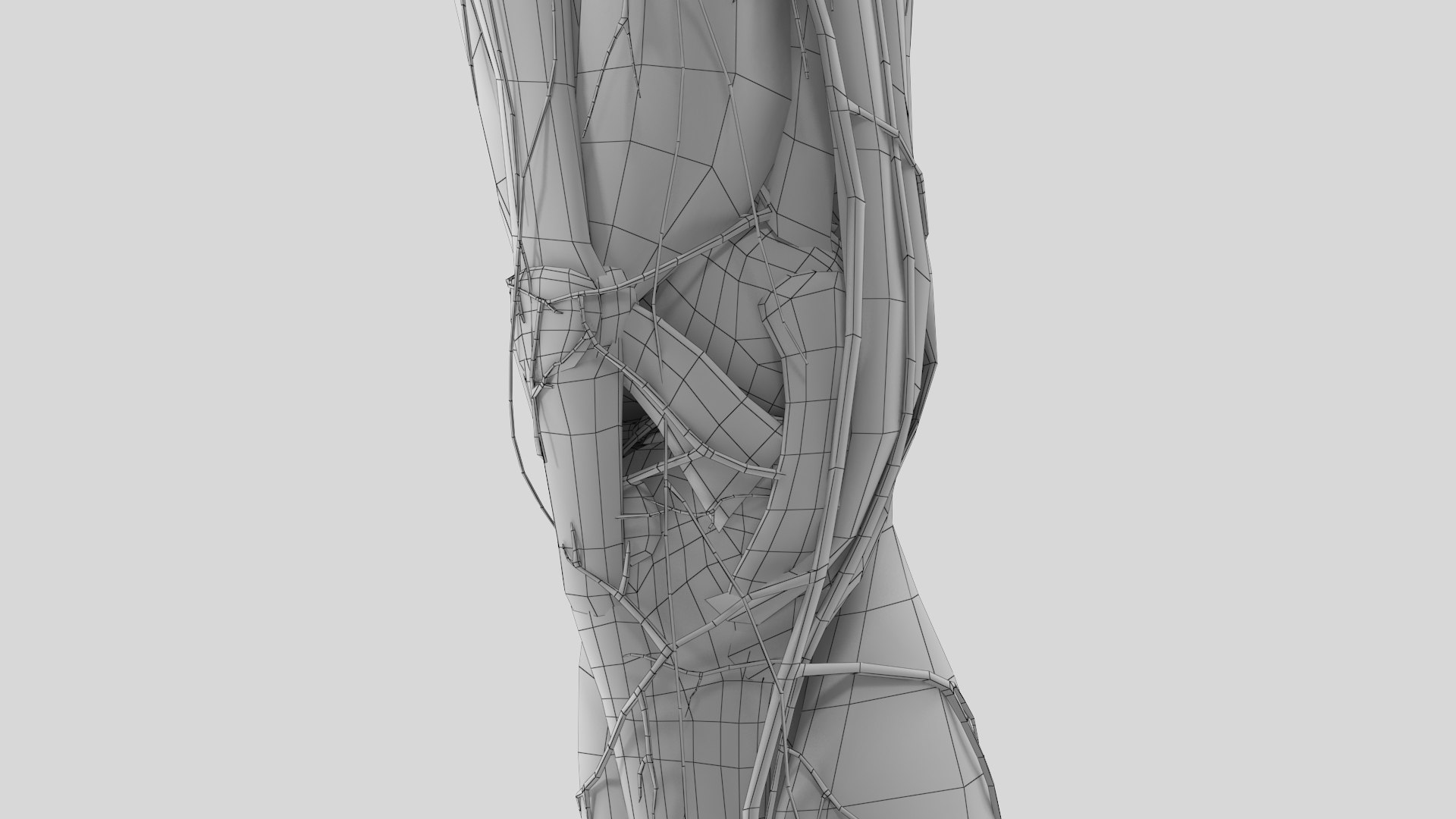 Complete anatomy lower leg model - TurboSquid 1438790