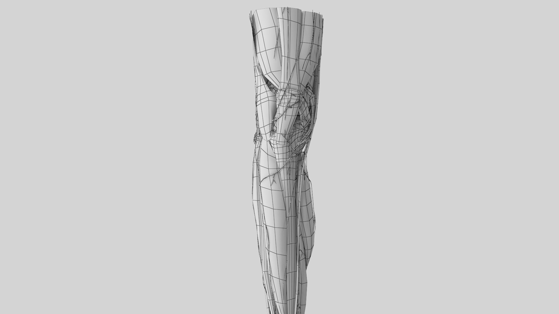 Complete anatomy lower leg model - TurboSquid 1438790