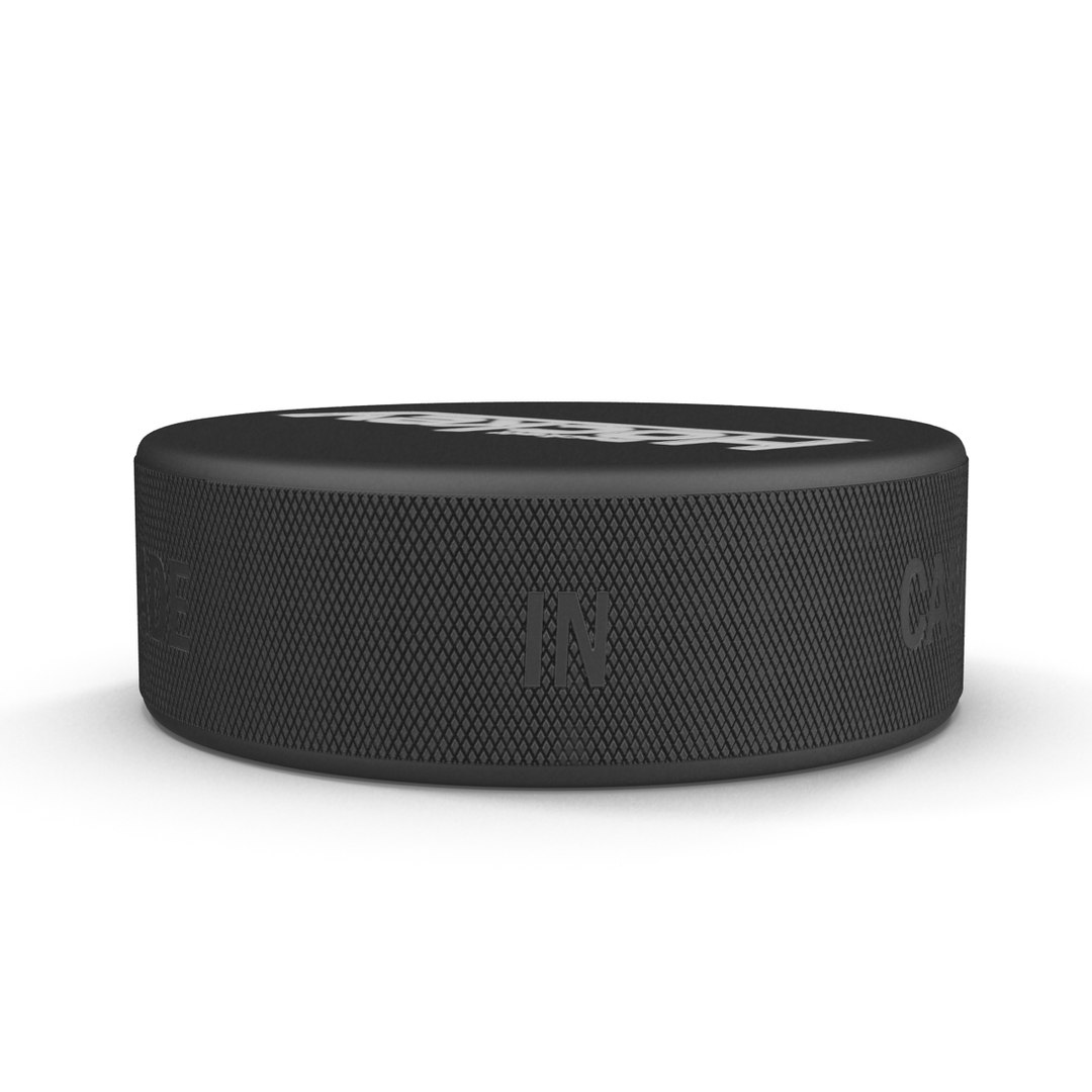 3d goalie hockey stick puck