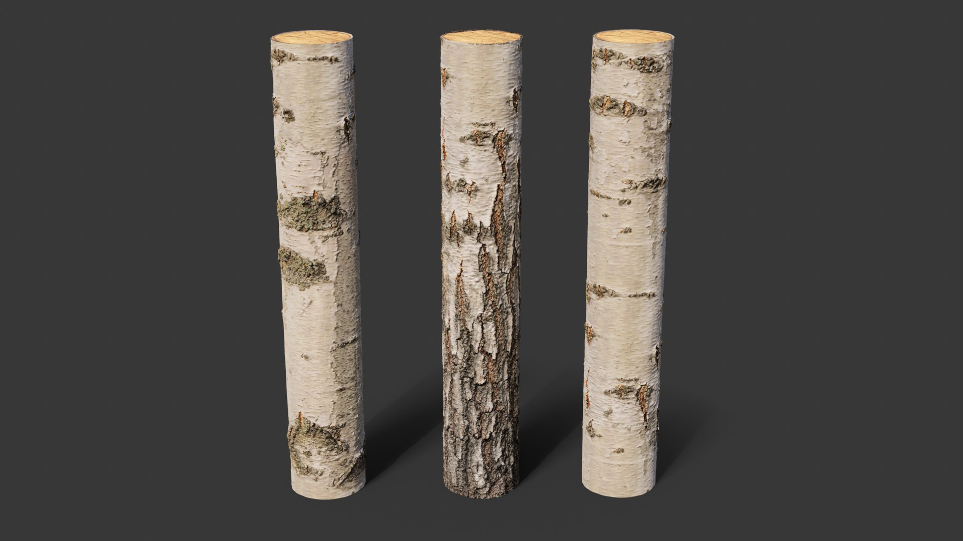 3D Model Birch Tree PBR Tiled Textures 8K - TurboSquid 2419319