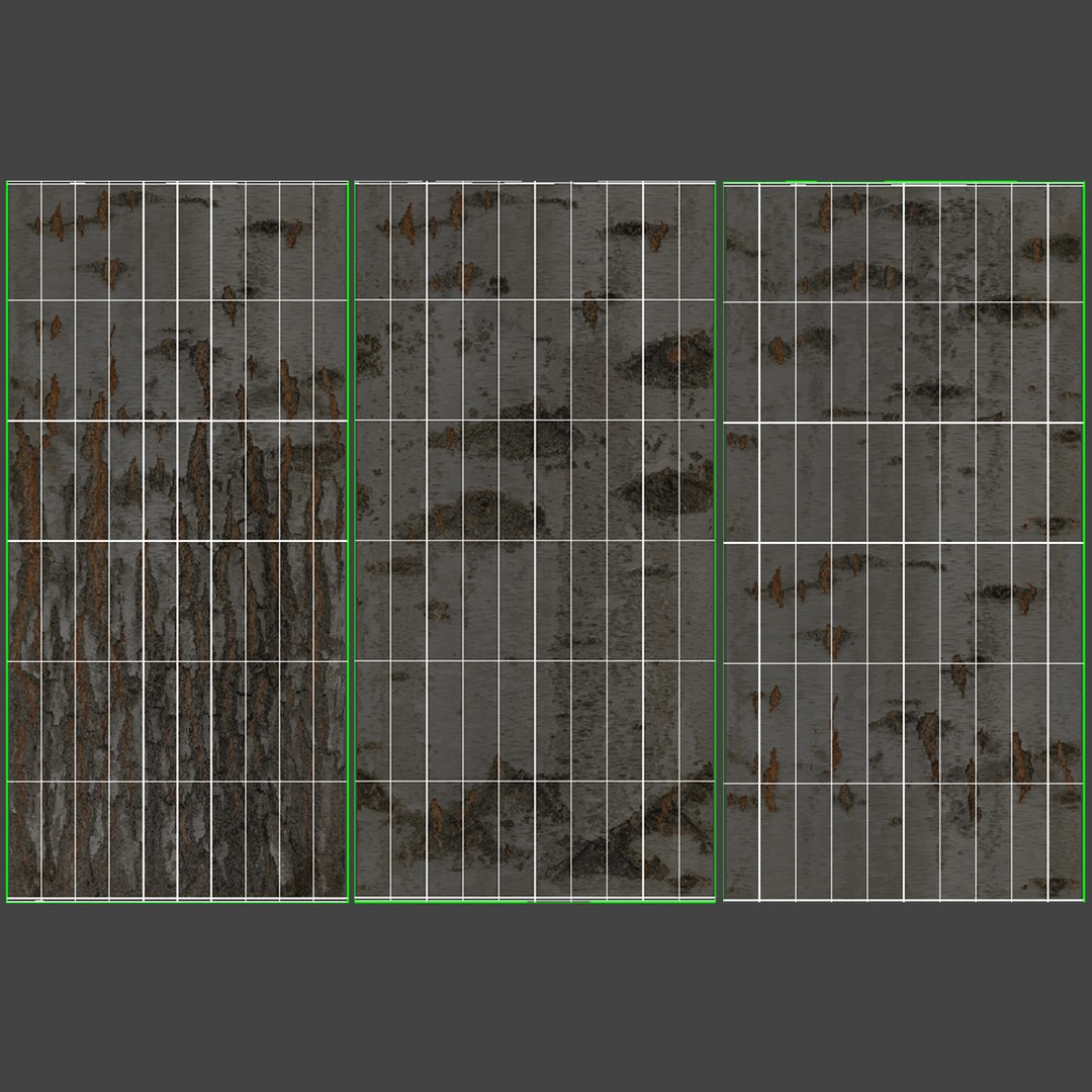 3D Model Birch Tree PBR Tiled Textures 8K - TurboSquid 2419319