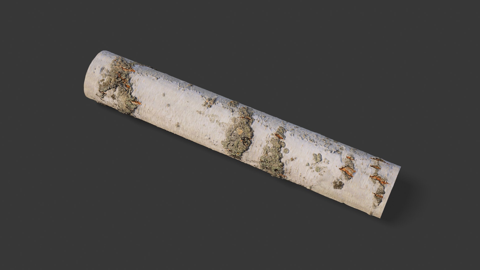 3D Model Birch Tree PBR Tiled Textures 8K - TurboSquid 2419319